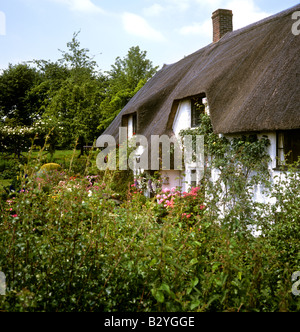 UK England Dorset Marnhull thatched cottage Stock Photo - Alamy