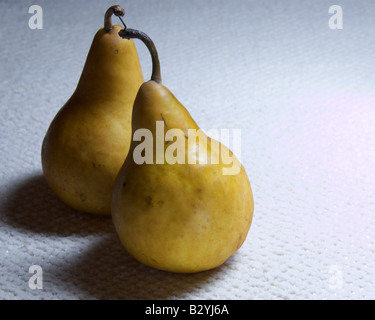 Pair of Russet pears Stock Photo - Alamy