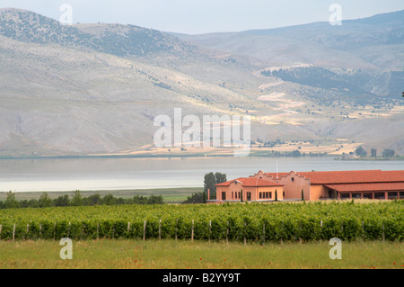 Winery building. Alpha Estate Winery, Amyndeon, Macedonia, Greece Stock ...