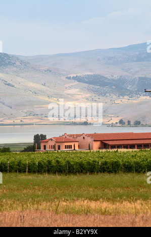 Winery building. Alpha Estate Winery, Amyndeon, Macedonia, Greece Stock ...