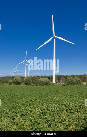 Quebec, Canada. Wind farm turbines in Carleton-sur-Mer Stock Photo - Alamy
