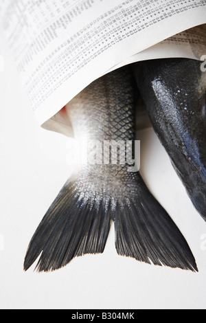 Fish Wrapped In Newspaper Stock Photo - Alamy