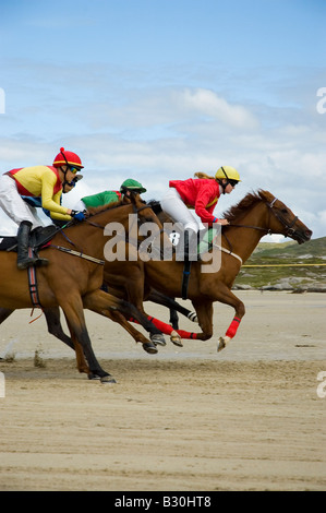 Pony racing on the beach, Omey Races, near Clifden, Connemara, County ...