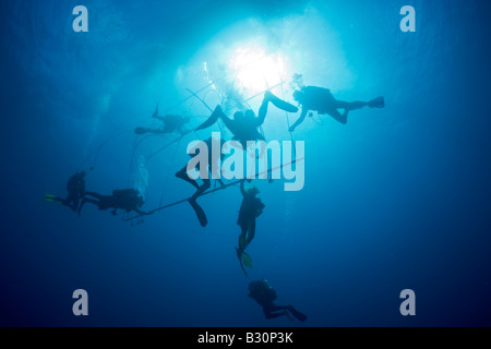 Divers at Decompression Trapeze after deep Wreckdive Marshall Islands ...