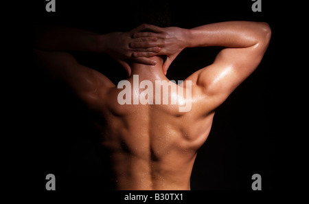 strength, bodybuilder, back muscles, strengths, bodybuilders ...