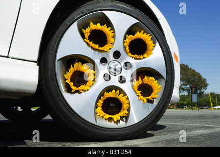 VW GTI with flowers in wheel hubs Stock Photo - Alamy