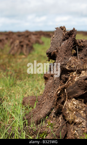 peat turf fuel already cut piled up in stacks air drying on the wet bog ...