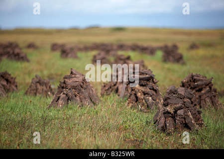 Stacks of turf fossil fuel drying in an Irish bog Stock Photo - Alamy