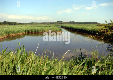 RSPB Minsmere Coastal Nature Reserve, Saxmundham, Suffolk, UK Stock ...