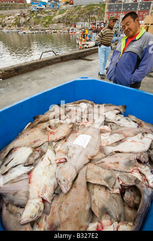 fish caught off Ilulissat in Greenland Stock Photo - Alamy