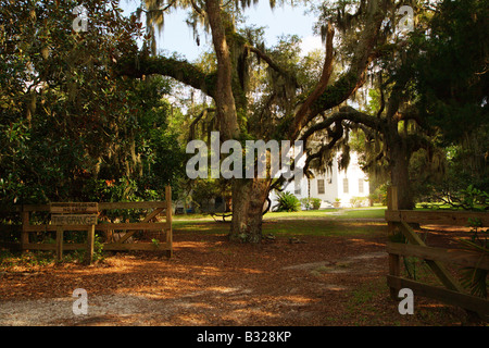 Cumberland Island Georgia GA Dungeness ruins Carnegie mansion Stock ...