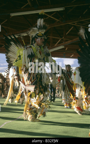 Special occasion American Indian Pow wow Man in headdress ELMO MONTANA ...