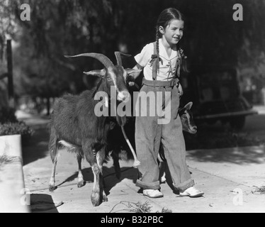 Portrait of two goats at agricultural animal exhibition, trade show ...