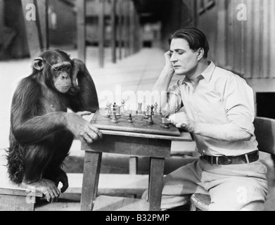 Chimpanzee and a young man playing chess and lighting their cigarettes ...