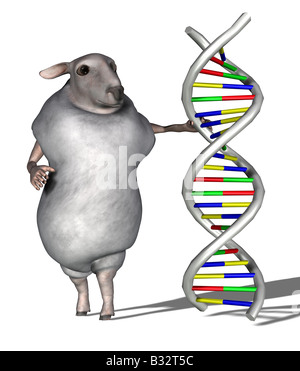 Sheep and its DNA Stock Photo - Alamy
