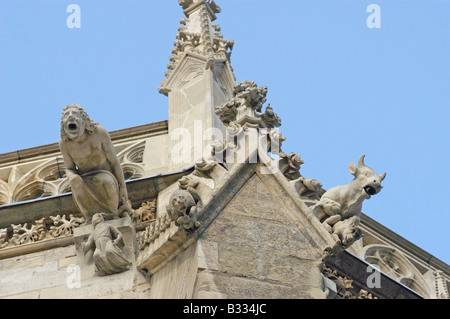 waterspout at the St. Stephen's Cathedral Stock Photo - Alamy