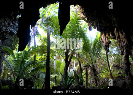 Anatakitaki Cave Atiu Cook Islands Stock Photo - Alamy