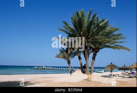 Tunisia Djerba island Zarzis Oasis Africa North Africa Mediterranean ...