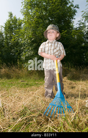 Small boy raking hay Stock Photo - Alamy