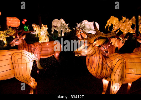 Lantern set Animals of Africa - Chinese Lantern Festival in Toronto ...