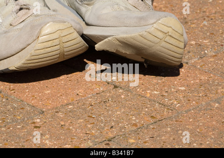 Old trainers. Worn out shoes Stock Photo - Alamy