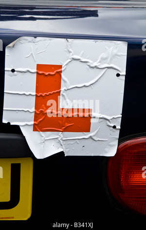 L plate on car - symbol for a learner driver Stock Photo - Alamy
