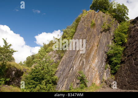 Dinas Rock, a sloping limestone crag, his is in the Geopark area of the ...