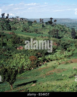 Uganda Agriculture with the mount Elgon national park in the background ...