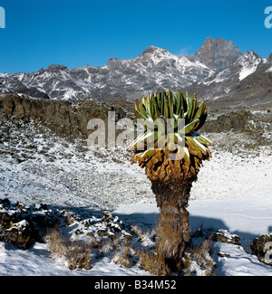 Kenya, Central Highlands, Mount Kenya, 17,058 feet high, is Africa's ...