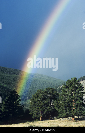 Rainbow Fall Color Rocky Mountains Glacier National Park Montana Stock ...