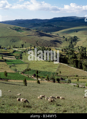 Kenya, Kapenguria, Cherangani Hills. Smallholdings of the Pokot people ...