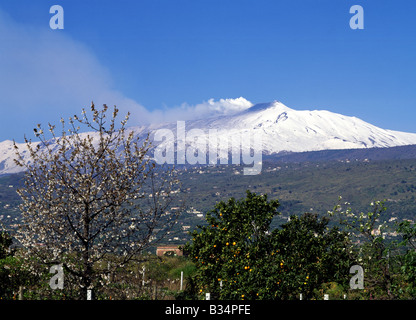 Italy, Sicily: Etna Stock Photo - Alamy