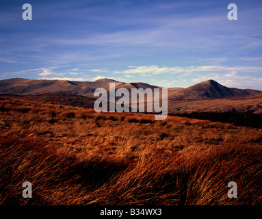 The Carneddau Range, including Carnedd Dafydd and Carnedd Llewelyn from ...