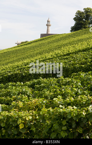 musee de la vigne lighthouse verzenay france Stock Photo - Alamy
