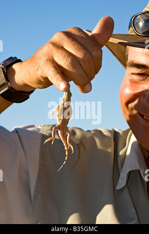 Shovel snouted sand diving lizard dangles from finger of guide during ...