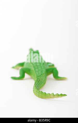 alligator back view Stock Photo - Alamy