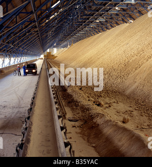Worker at limestone storage at cement plant in Tuban, Java, Indonesia ...