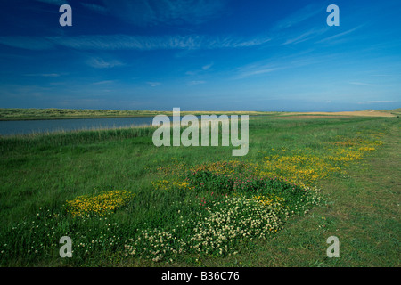 Landscape at the Gronant Dunes Nature Reserve, Denbighshire, Wales, UK ...