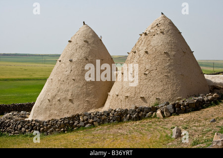 Traditional Syrian "beehive" house in the desert beside the road ...