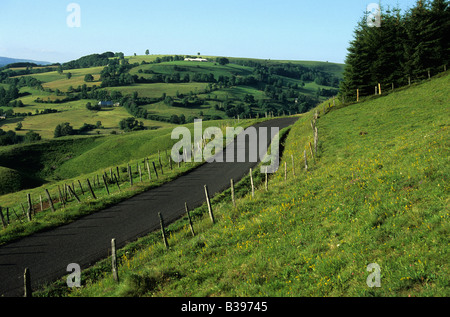 Asphalt road and country landscape with green meadows Stock Photo - Alamy