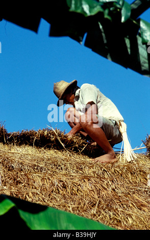 nipa roof thatching, palawan, philippines Stock Photo - Alamy