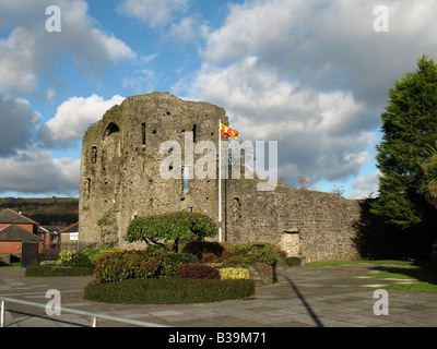 Neath Castle, Neath, Wales, UK Stock Photo - Alamy