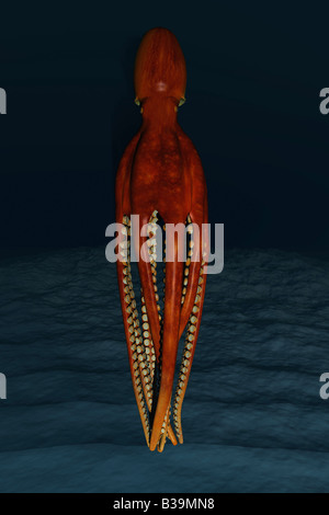 Octopus, computer illustration Stock Photo - Alamy