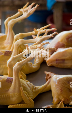 Fresh chicken claws Stock Photo - Alamy