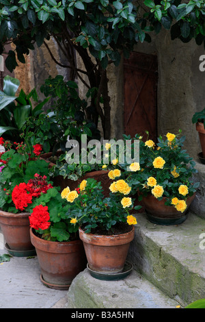 Italy, Tuscany, Pienza. Flower pots and potted plants decorate a narrow ...