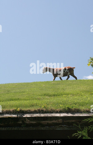 Goat on the roof at Al Johnson's Swedish Restaurant, Sister Bay, Door ...