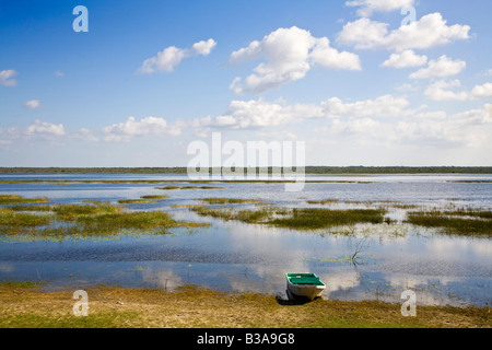 Belize, Crooked Tree Wildlife Sanctuary, Black-Crowned Night-Heron ...