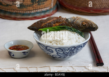 steam rice with fish Stock Photo - Alamy