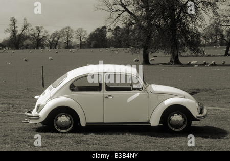 Volkswagen Beetle side view profile picture Stock Photo - Alamy