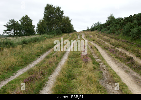 The Wealdway trail in East Sussex Stock Photo - Alamy